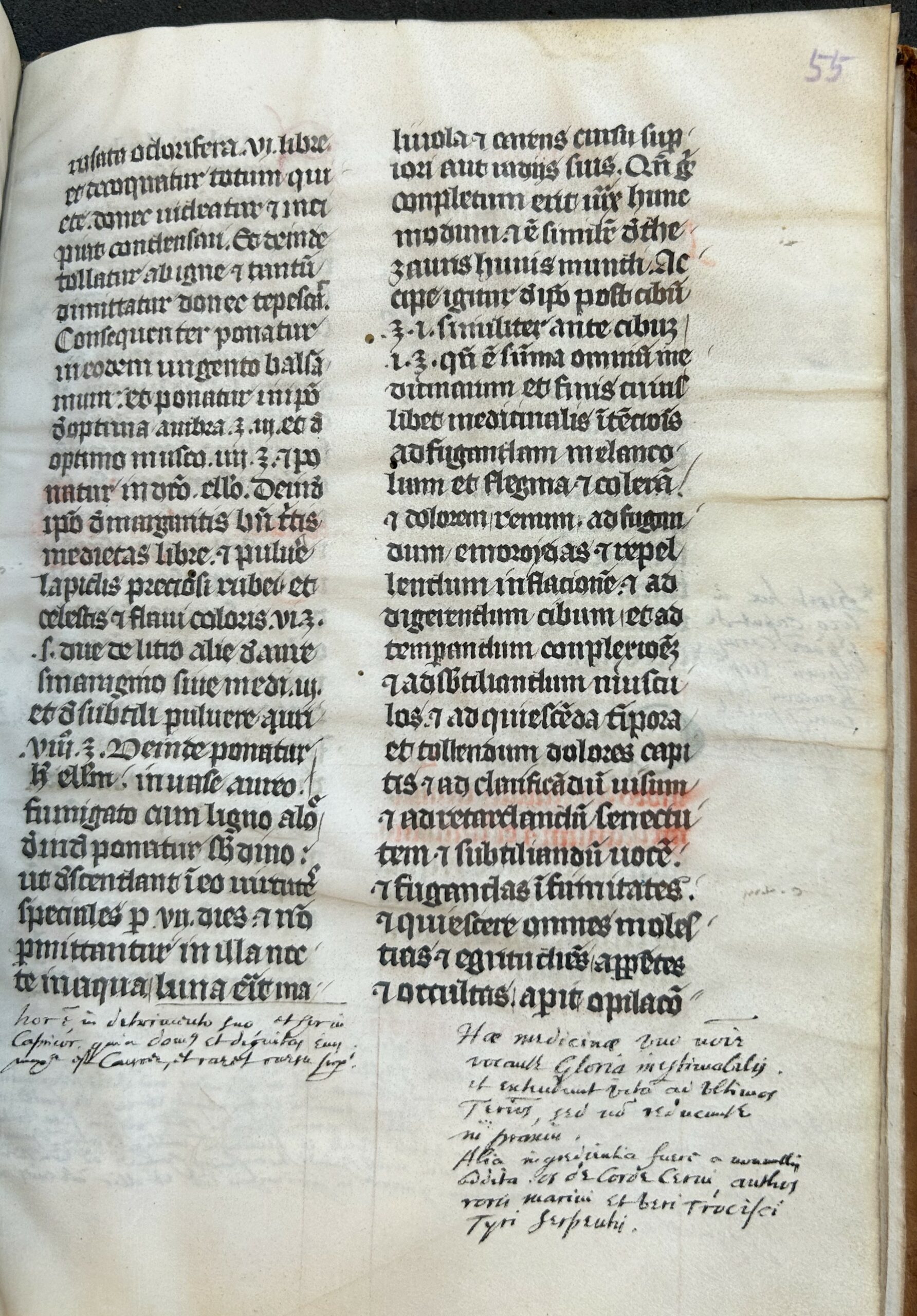 The Secretum Secretorum of Louis the Great – Hertford College Library ...